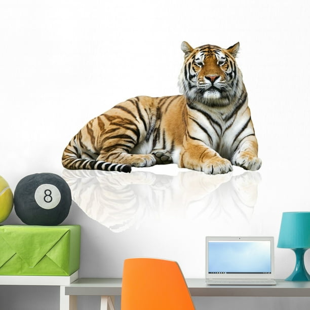 Tiger Wall Decal by Wallmonkeys Peel and Stick Graphic (36 in H x 36 in ...