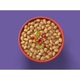 FILLO'S Mexican Mayocoba Beans Mild, 10 oz, 6 Count (Casein-Free ...