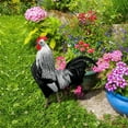 Lomubue Rooster Decor Realistic Life-like Ornamental Double-sided ...