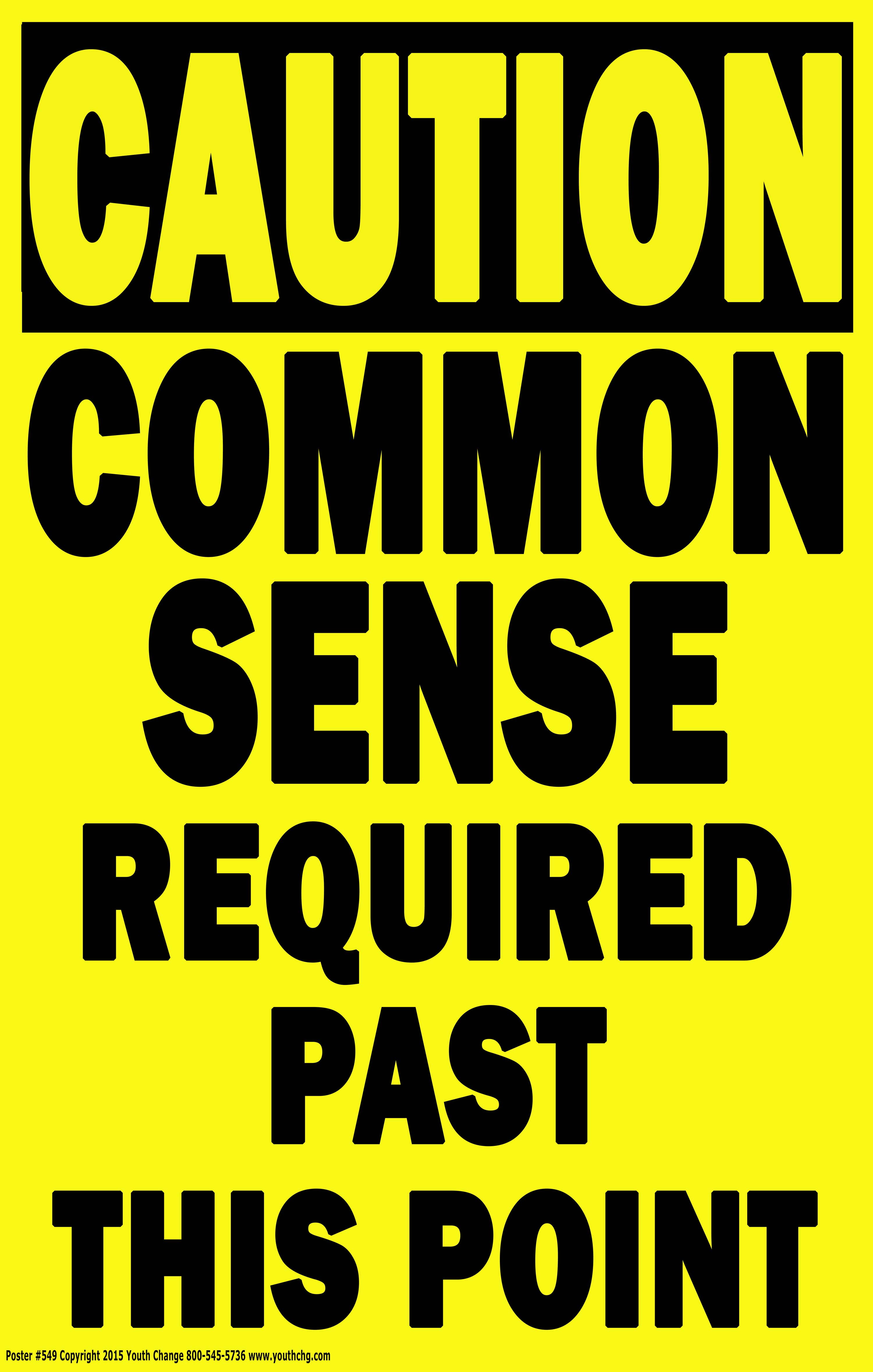 Common Sense Poster