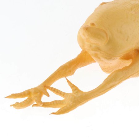 pitrice Realistic Artificial Food PVC Fake Roast Chicken Home Party ...