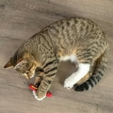 Catstages Green Magic Dynamite Stick Catnip Cat Toy, Red - Walmart.com
