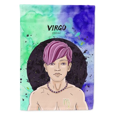 Sagittarius Zodiac Sign Garden Flag - Walmart.com