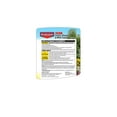 BioAdvanced 701287A Miticide Pesticide Fungicide 3-in-1 Insect, Disease ...
