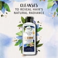 Herbal Essences Bio:Renew Refresh Shampoo, Blue Ginger, 13.5 oz ...