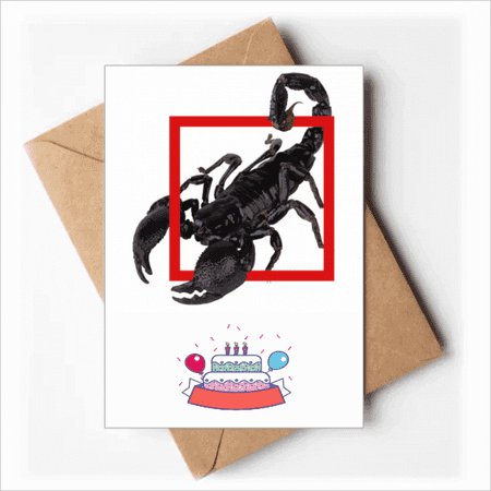 Scorpion Natural Insect Shock Happy Birthday Greeting Cards Envelopes ...