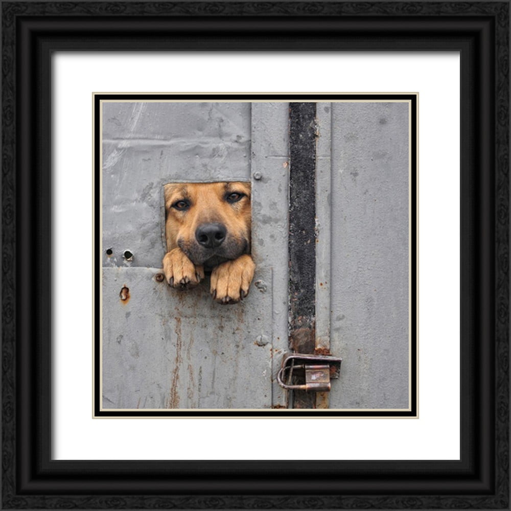 Knartist 20x20 Black Ornate Wood Framed with Double Matting Museum Art ...