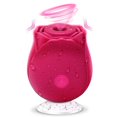 Boutique Sucking Rose Toys Vibrator For Women Adult Rechargeable