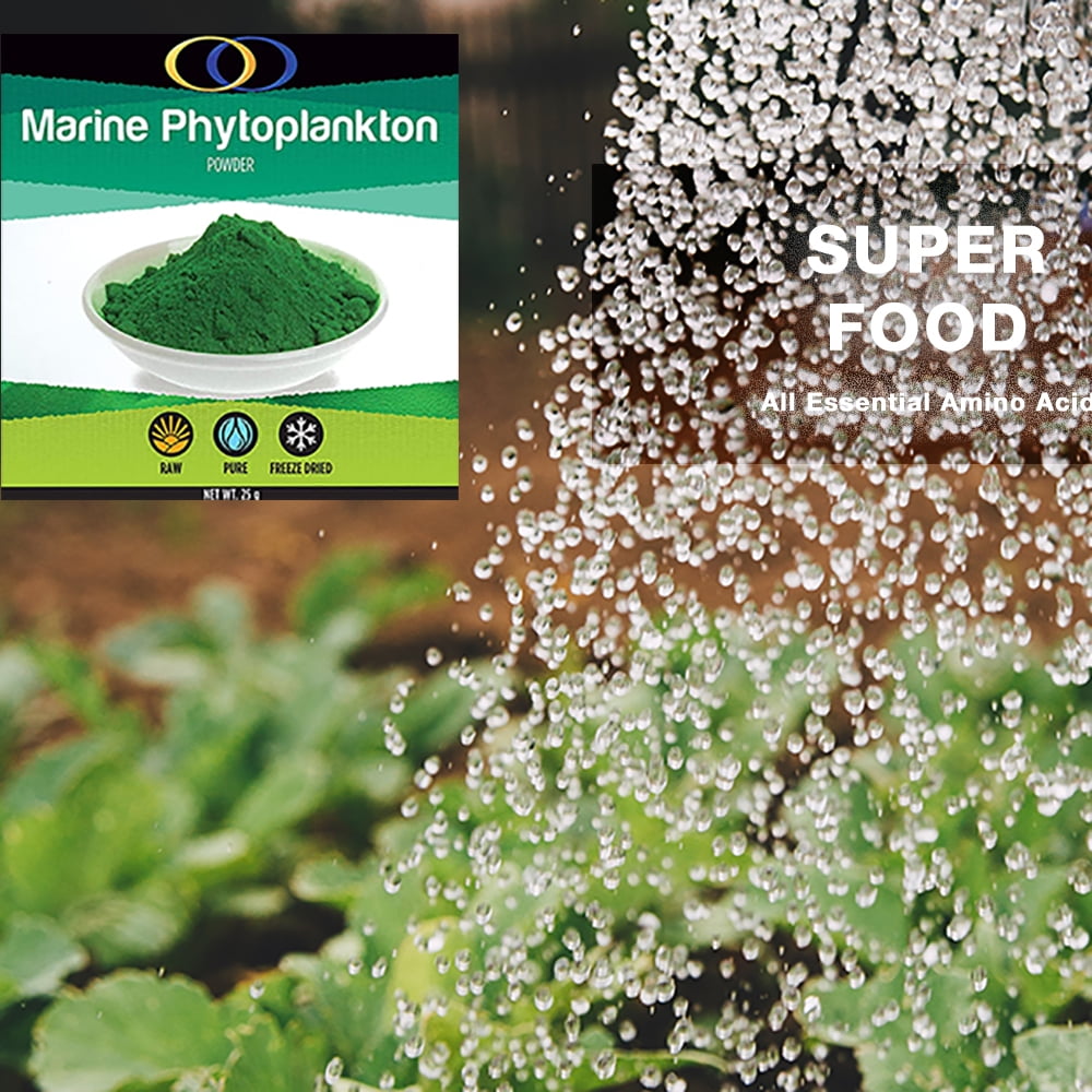 Marine Phytoplankton Powder