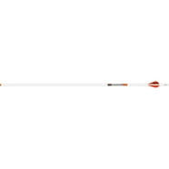 Easton Axis Traditional Arrows with 4" Feathers, Pack of 6 - Walmart.com