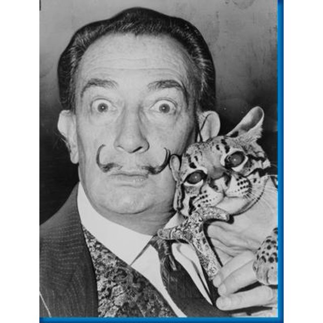 Salvador Dali Cat Bw Metal Sign 8inx 12in Art Print on Metal 8x12 ...