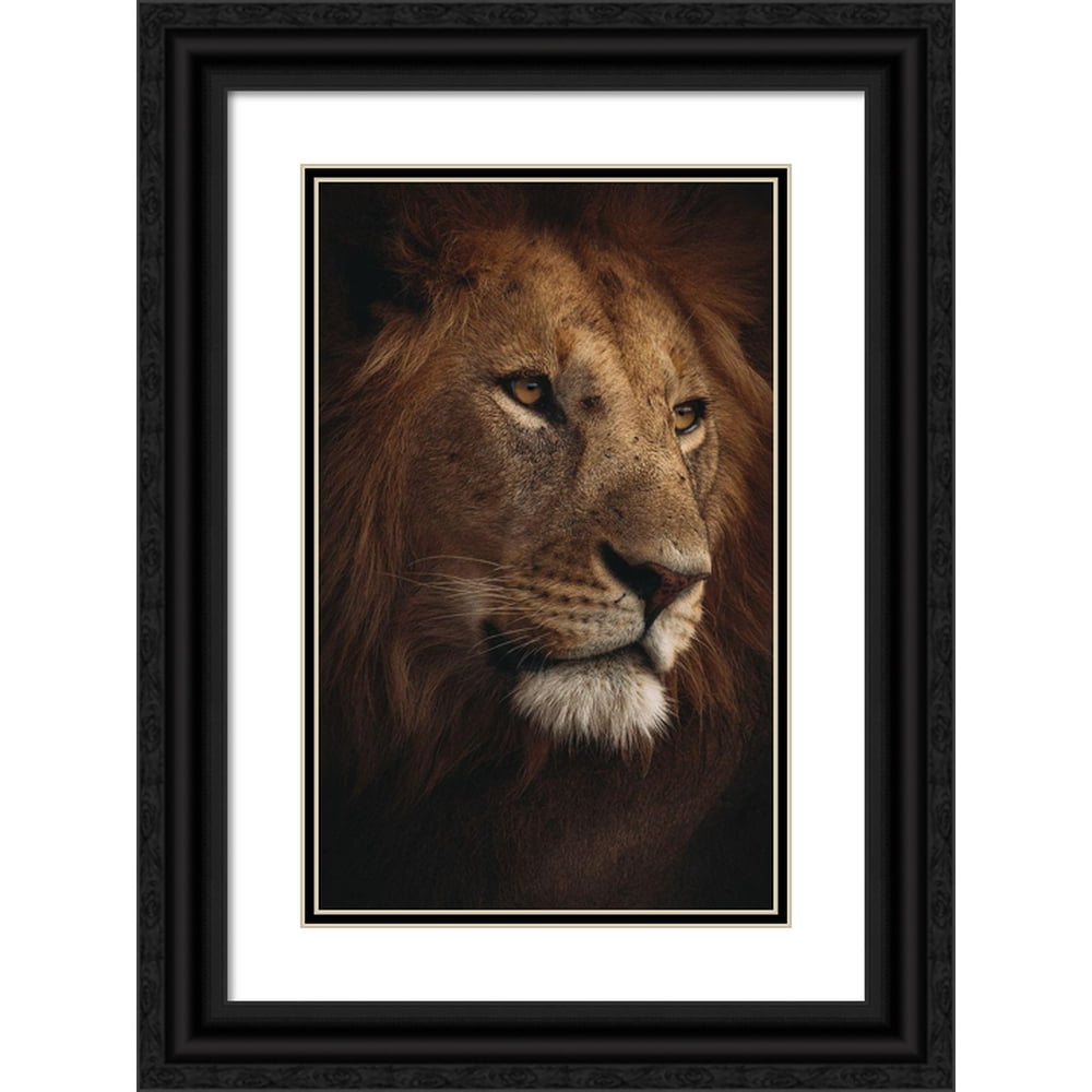 Alshammari, Fahad 10x14 Black Ornate Wood Framed with Double Matting ...