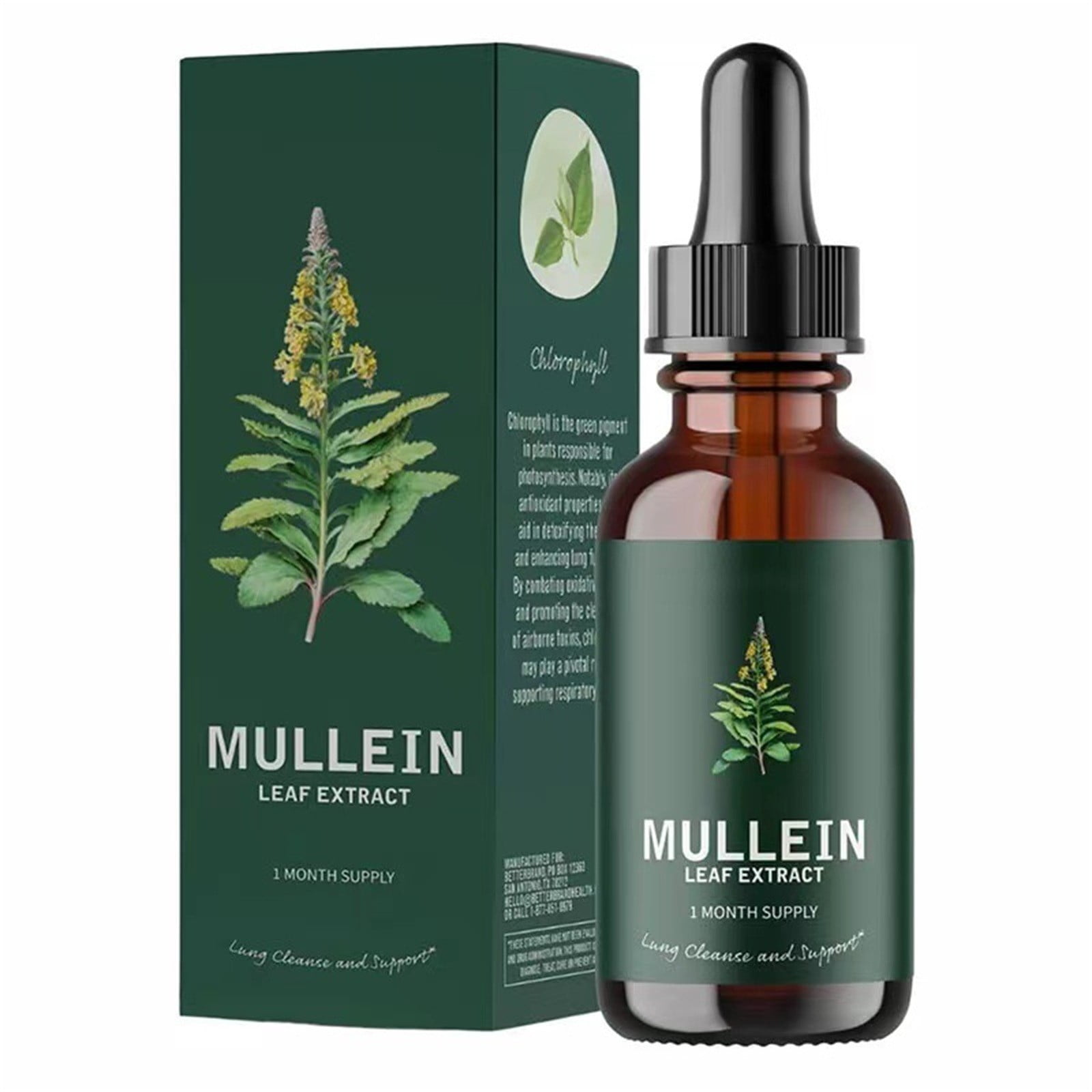 Mullein Leaf Extract - Support Nose Cleanse & Respiratory Function For ...