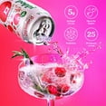 POPPI Sparkling Prebiotic Soda, Beverages w/Apple Cider Vinegar, Seltzer Water & Fruit Juice ...