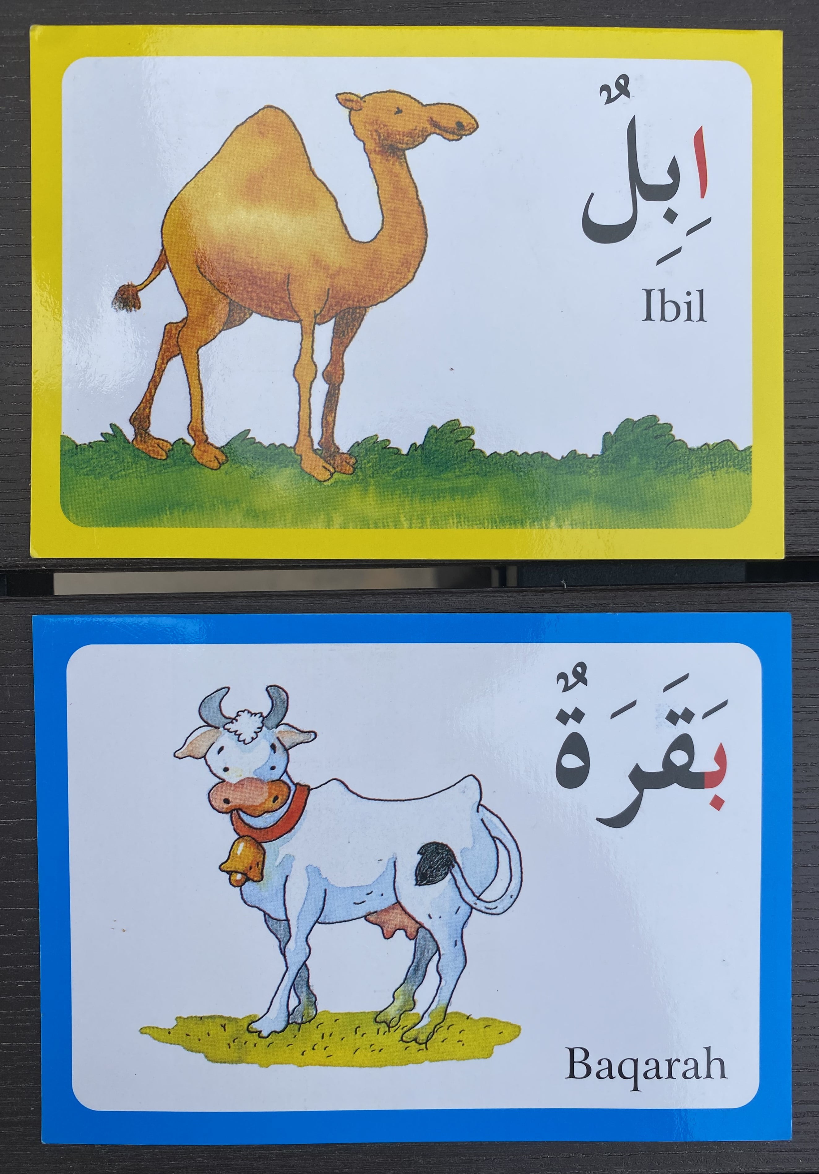 Arabic Alphabet Flash Cards Pdf