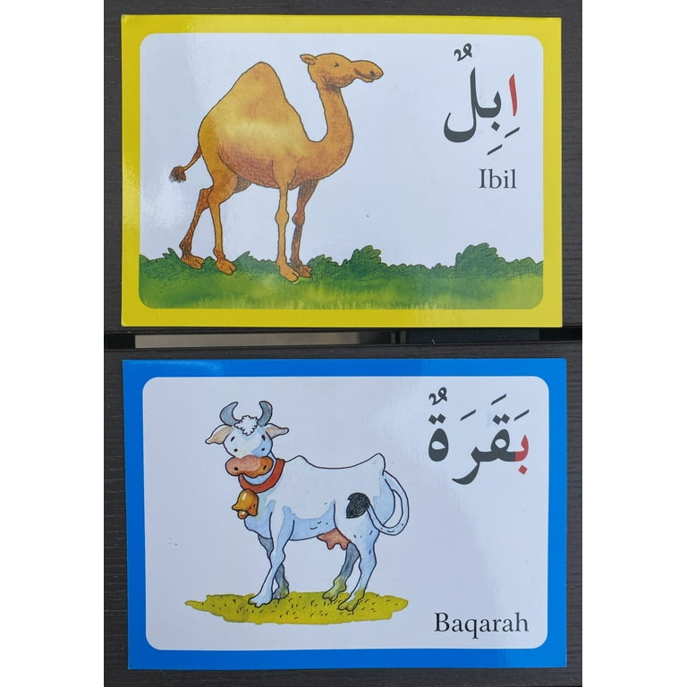 Arabic Alphabet Flash Cards