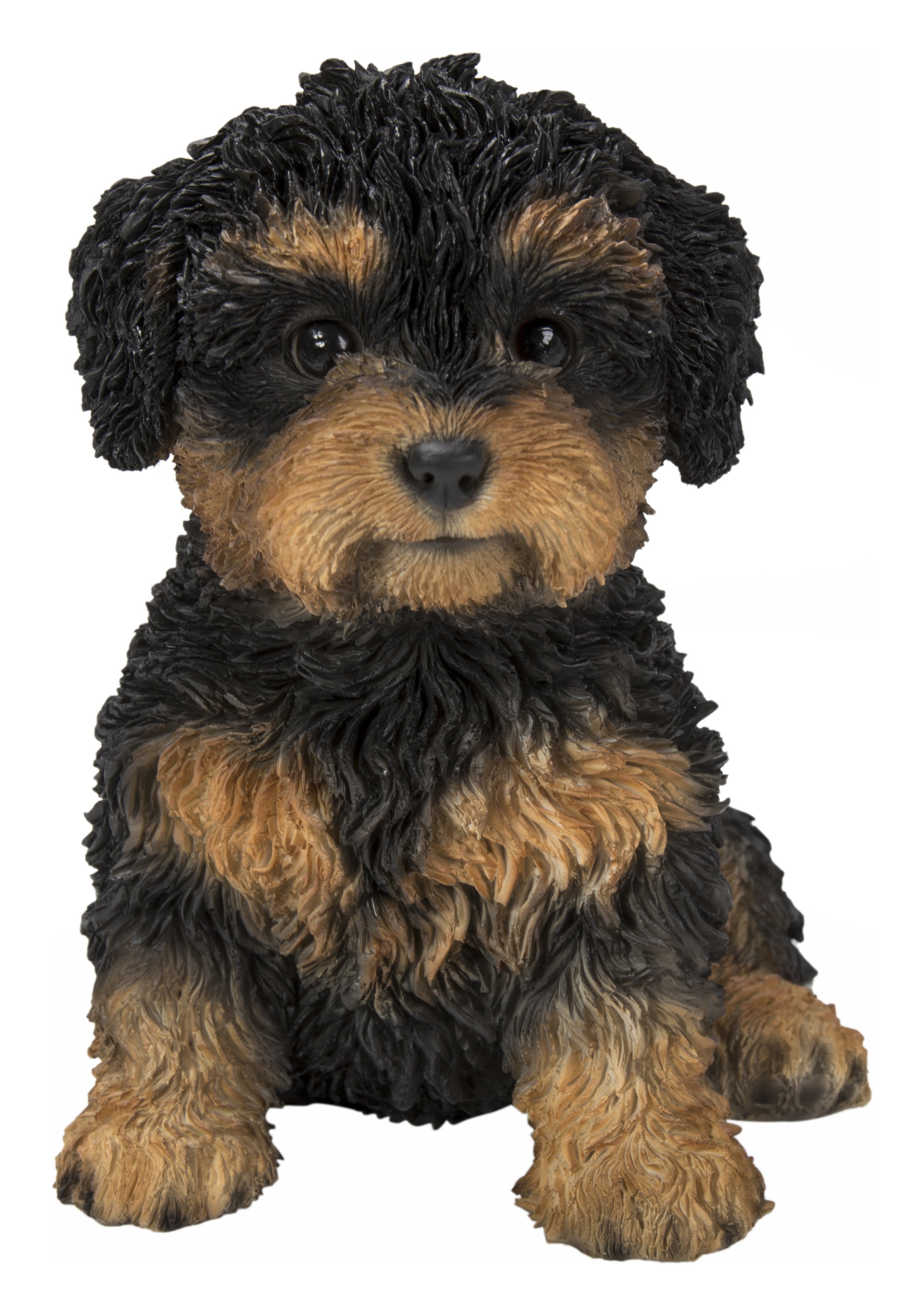 BABY CAVAPOO BLACK & TAN - Walmart.com