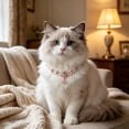 Cififendec Crystal Pearl Pet Necklace, Adjustable Sparkling Rhinestone ...