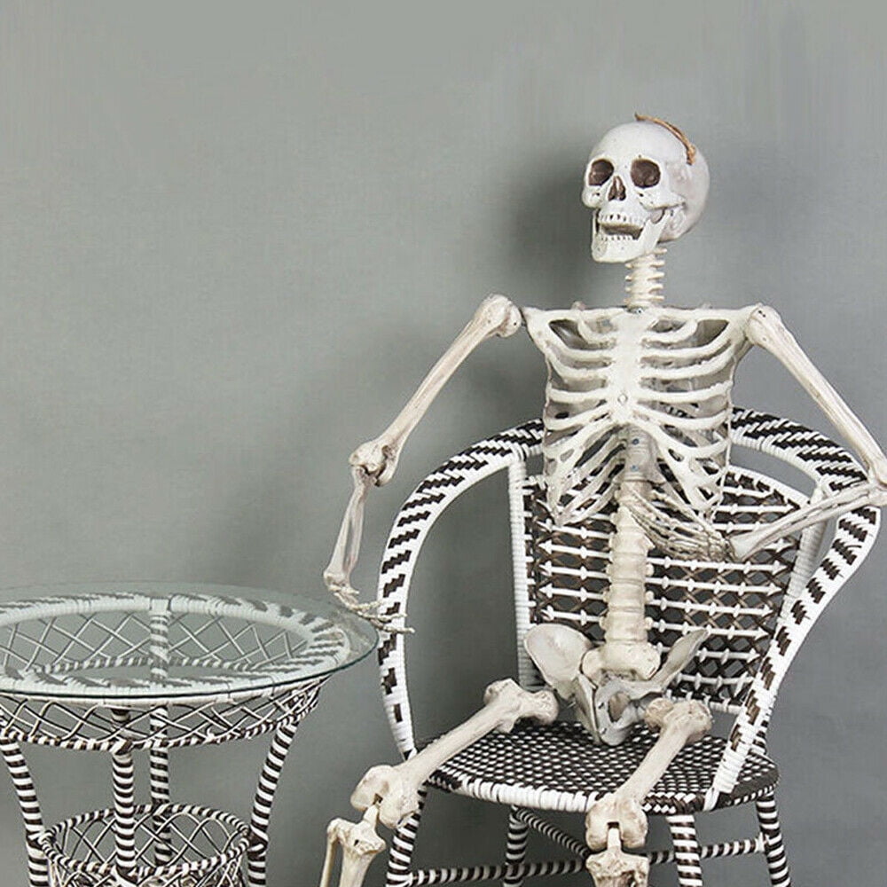 Buy Halloween Decorations 5.6FT Poseable Halloween Skeleton Full Body ...