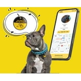 Smart NFC Pet Locator ID Tag - Smart Pet Tag for Dogs & Cats - Walmart.com