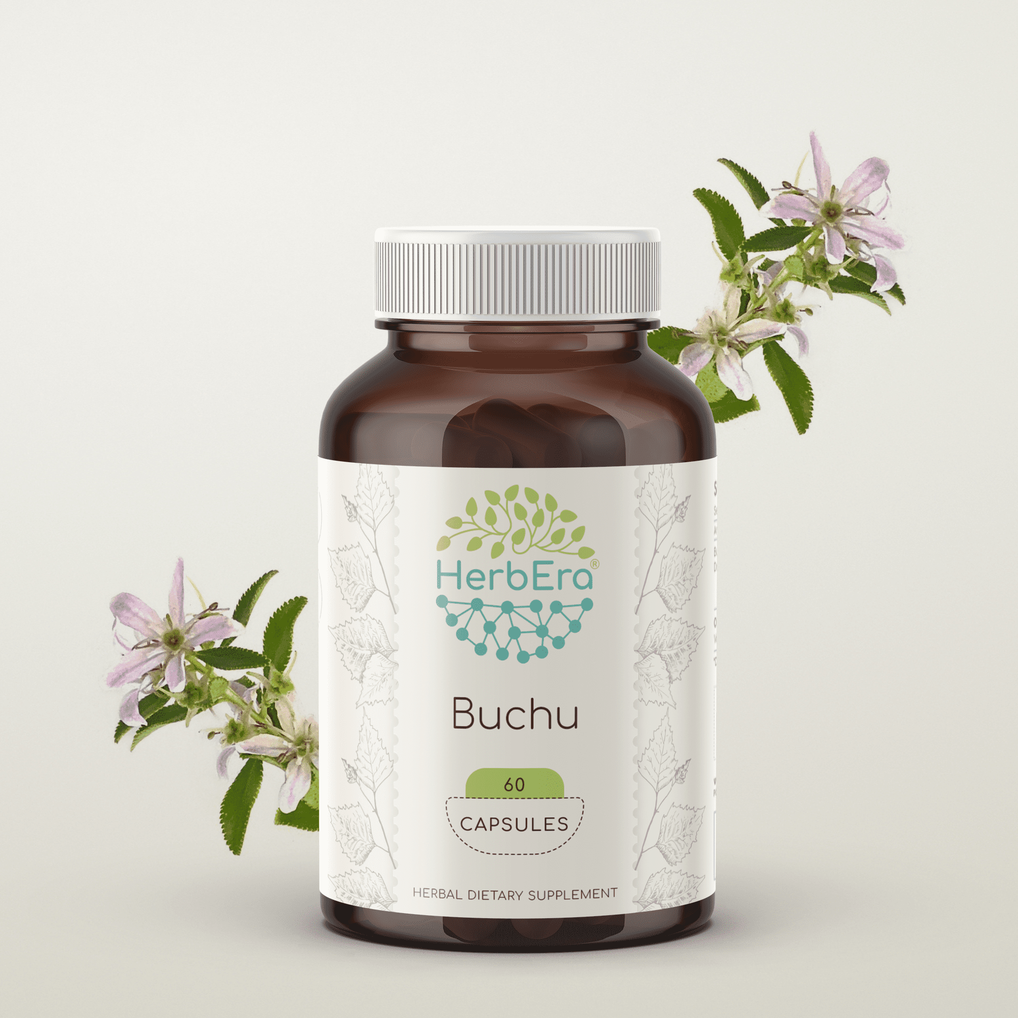 Buchu 60 Capsules, 500 mg, Organic Buchu (Agathosma Betulina) Dried ...