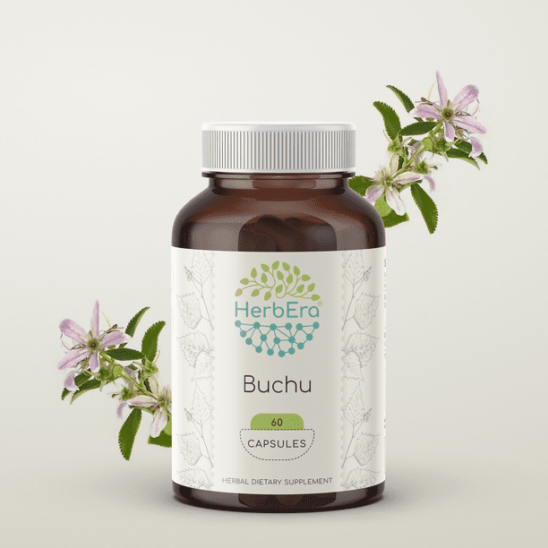 Buchu 60 Capsules, 500 mg, Organic Buchu (Agathosma Betulina) Dried ...