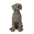 GDF Studio Hayesville Outdoor Dog Garden Statue, Dark Brown - Walmart.com