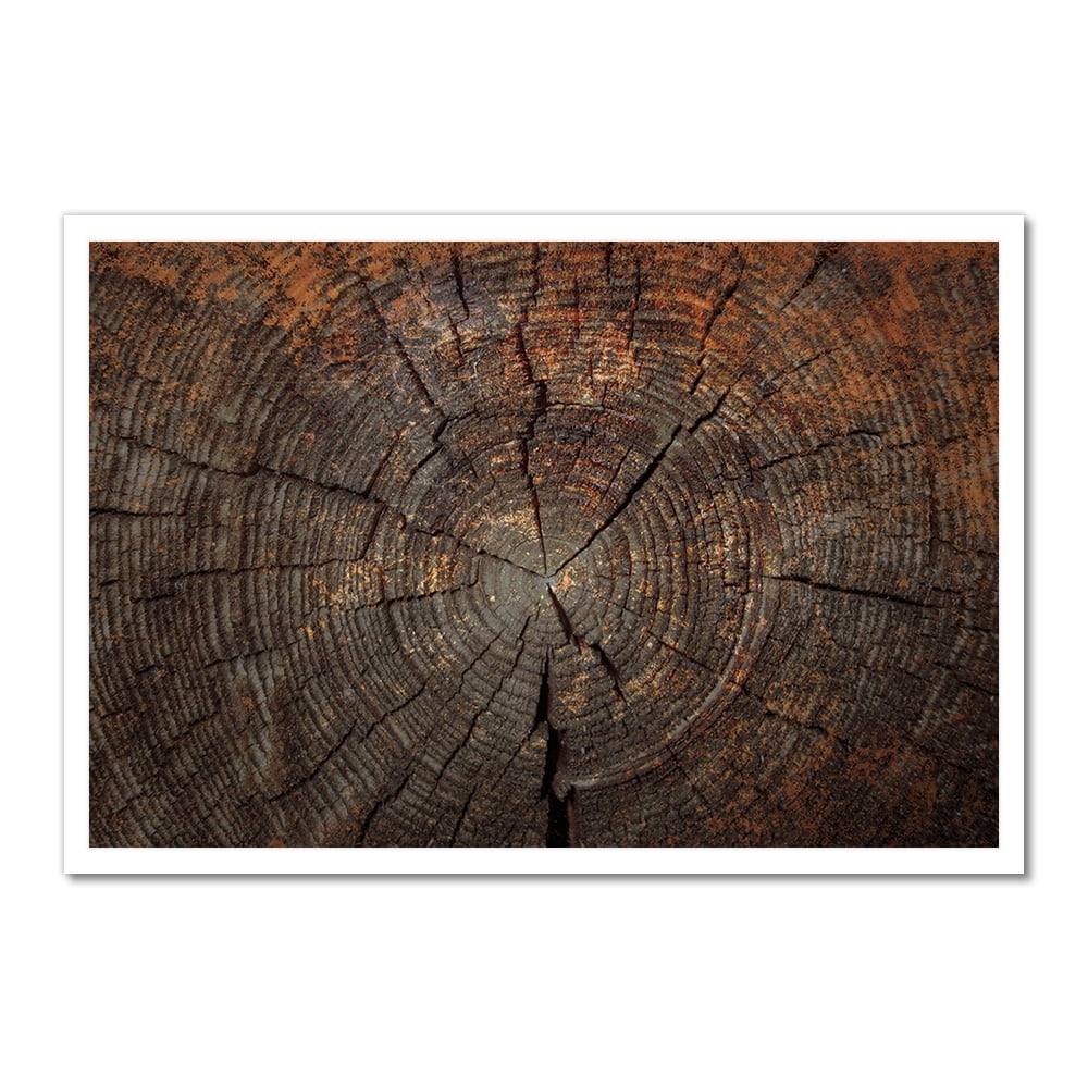 Action Fish Puzzle Artwork | Choose from Canvas or Art Print | Living ...