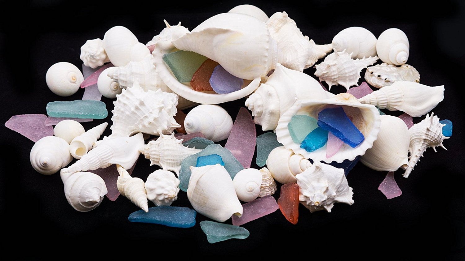 White Decorative Sea Shell and Assorted Colored Sea Glass |1 Pound ...