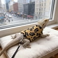 Pet Accessories for Small Reptile Strap Traction Rope Adjustable Chest ...