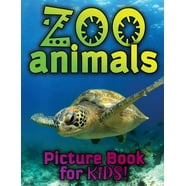My 1st Zoo Lets Meet the Animals (Board Book) - Walmart.com