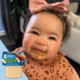 Gerber Stage 2 Baby Food, Apple Chicken Puree, 4 oz Tub (2 Pack) 8 oz ...