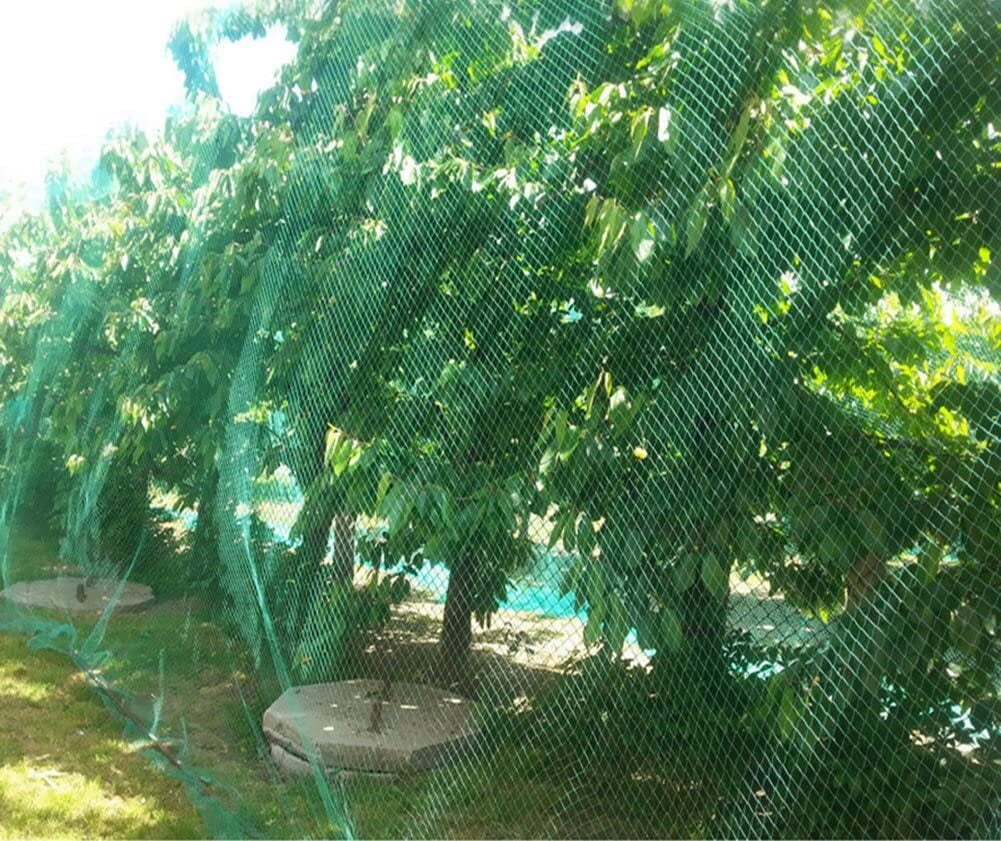 Bird Netting for Garden,13Ft x 33Ft Reusable Garden Netting Plants ...