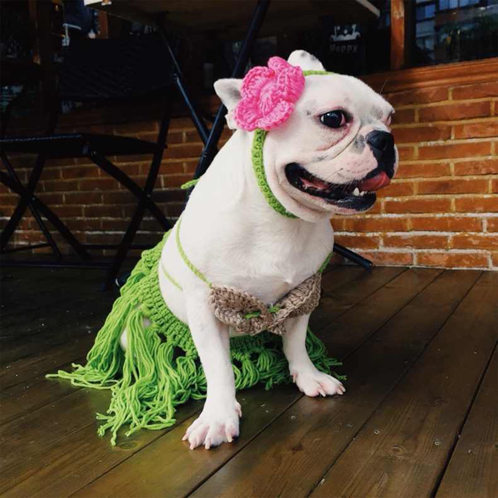 Big Savings! Pet Bikini Set, Hawaiian Beach Swimsuit, Summer Dog ...