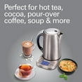 Hamilton Beach Professional Electric Kettle, 1.7 Liter, Stainless Steel ...