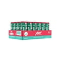 Alani Nu Energy Drink Winter Wonderland 12oz, 24pk (24 12oz Cans ...