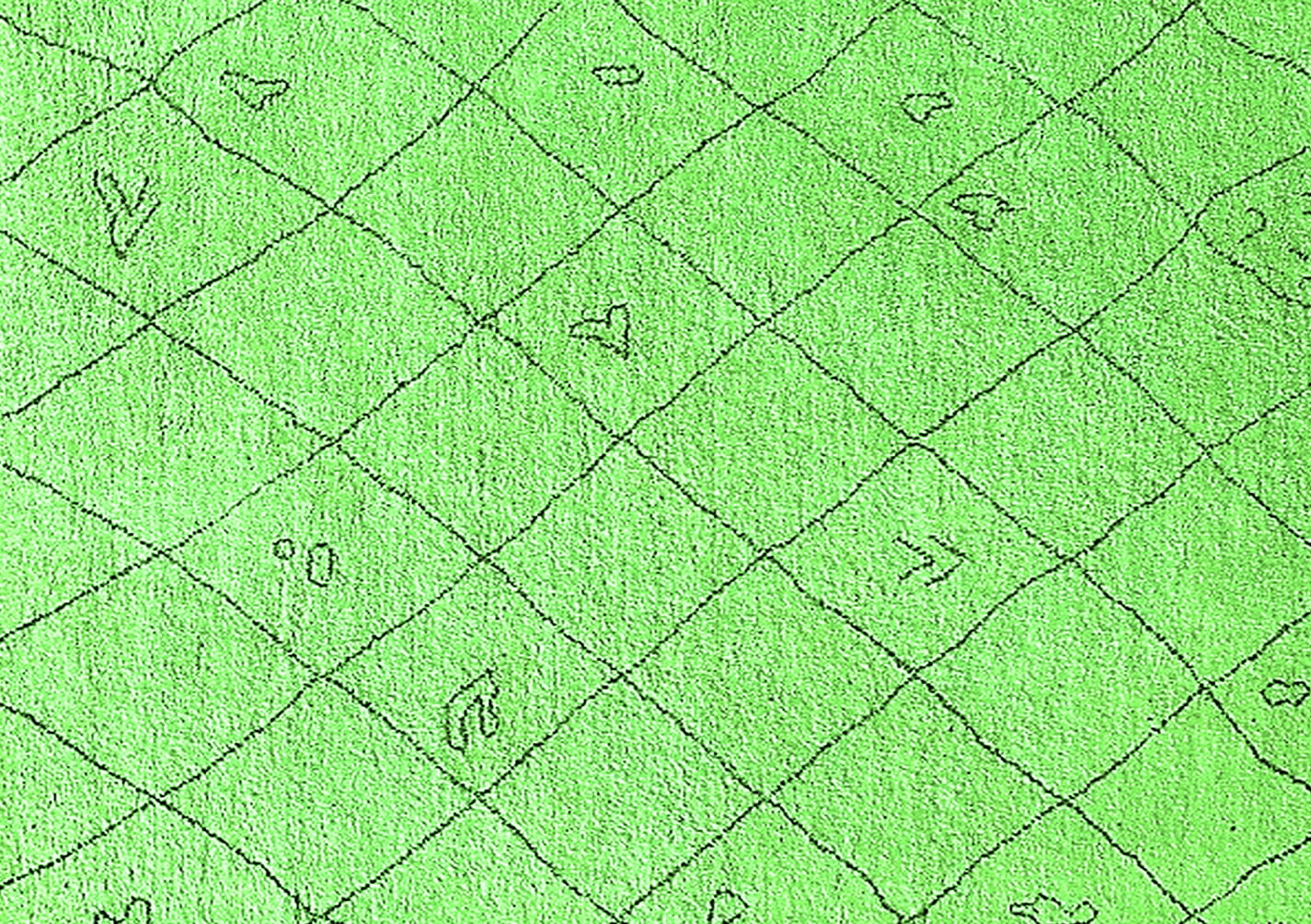 Ahgly Company Indoor Rectangle Solid Green Modern Area Rugs, 2' x 5 ...