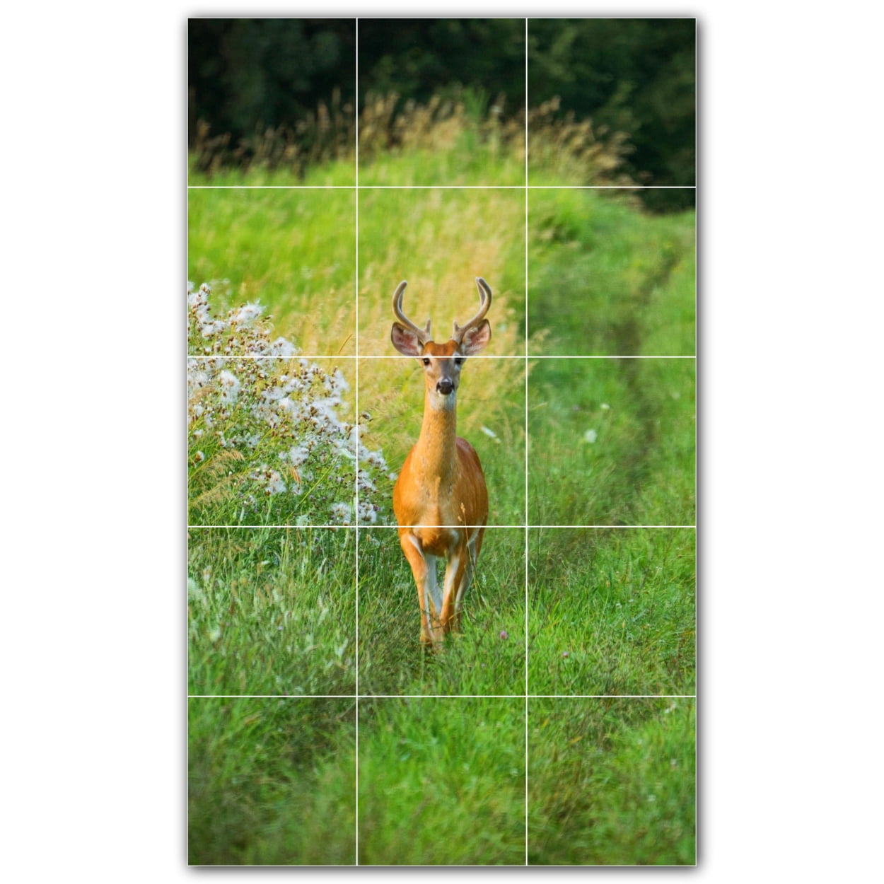 Picture-Tiles.com: Deer Ceramic Tile Wall Mural WAL500442-35XL. 36"W x ...