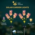 2 Pack Solar Hyacinth Flower Lights Outdoor, Waterproof LED Solar ...