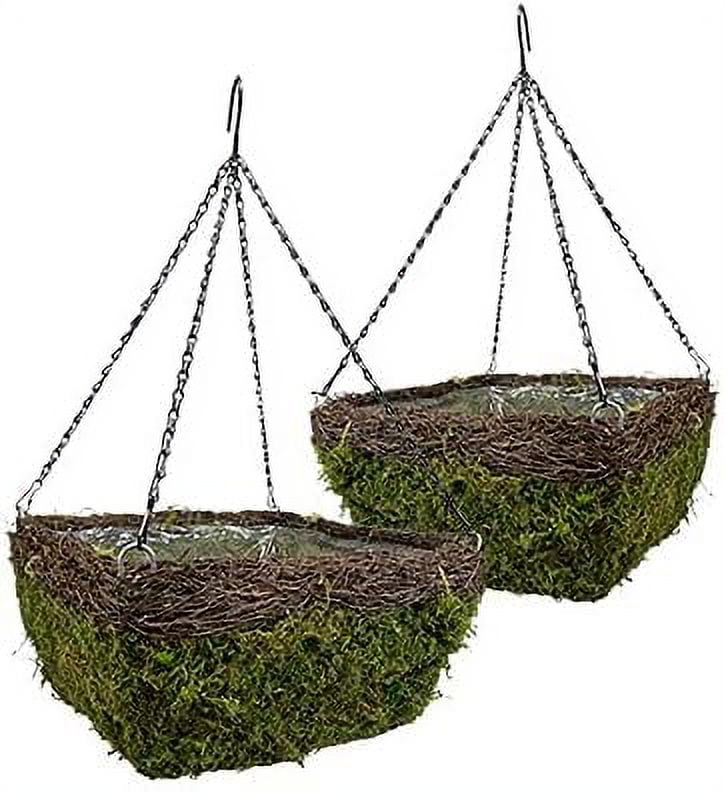 Panacea Wicker And Moss Square Hanging Baskets, 14In L Each, Pack Of 2 ...