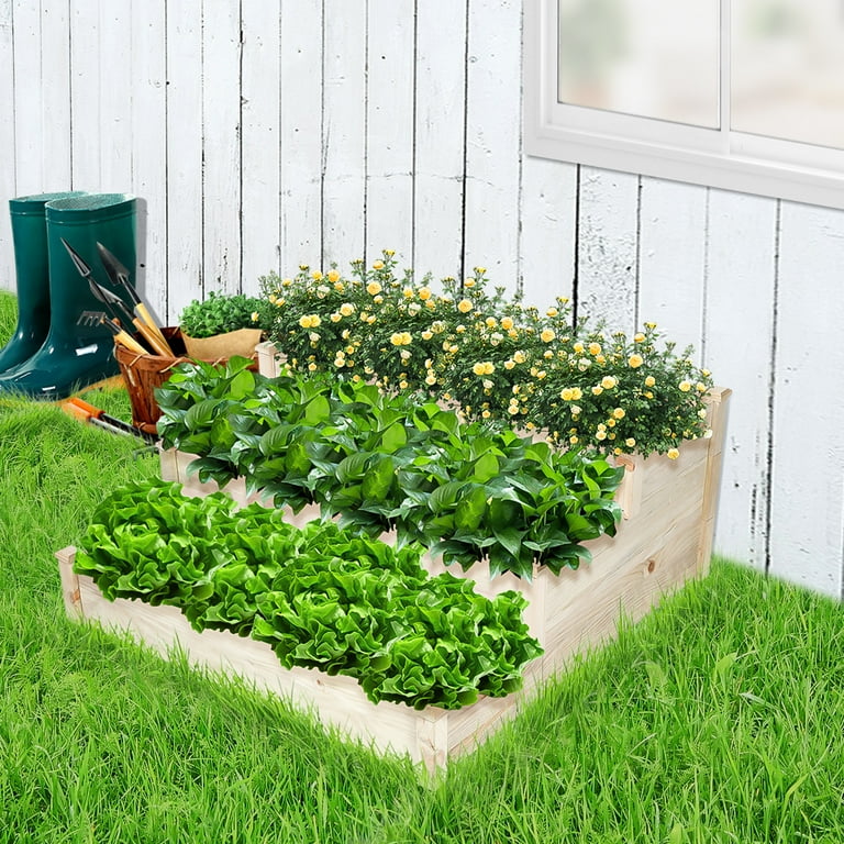 Vegetable Garden Planter Boxes