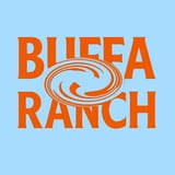 Heinz Buffaranch Buffalo & Ranch Sauce, 16.5 fl oz Bottle - Walmart.com