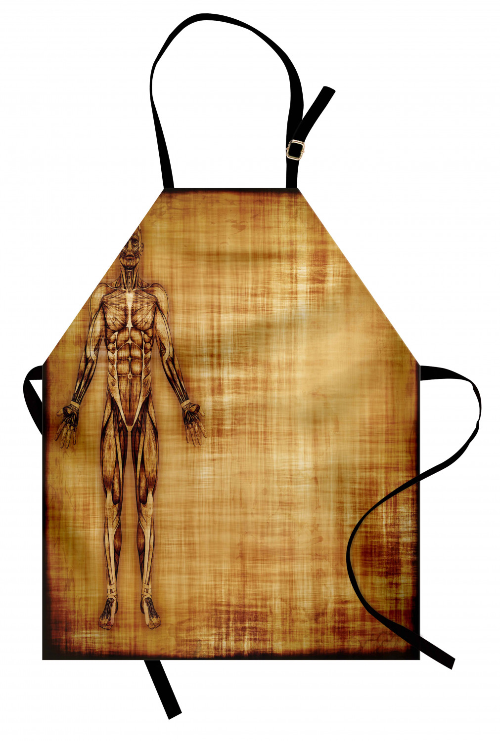 Human Anatomy Apron Grunge Old Parchment Effect Skeleton Muscles of ...