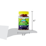 Spring Valley Zero Sugar Kids Melatonin Sleep Support Dietary ...