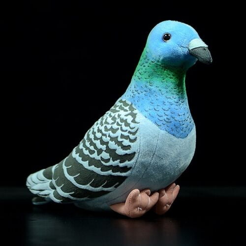 19Cm Cute Wild Pigeons Simulation Columba Rupestris Dolls Plush Toys ...