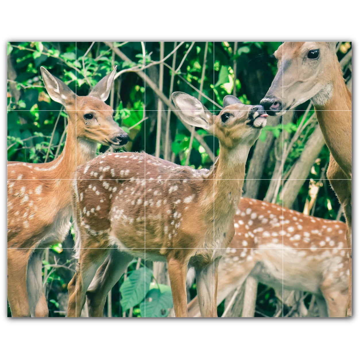 Picture-Tiles.com: Deer Ceramic Tile Wall Mural WAL500446-54XL. 60"W x ...