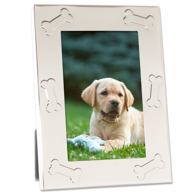 Dog Bone Frame