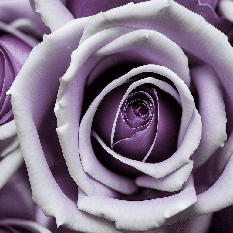 Unusual Roses Varieties Of Roses