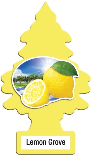 Little Tree Air Freshener Assorted Scents 24 Pack - Walmart.com