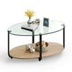 Noble House Roman Glass Coffee Table with Shelf - Walmart.com